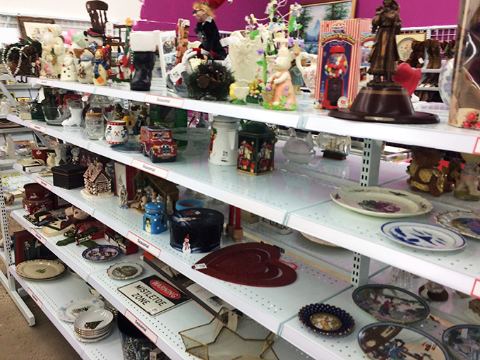 Tchotchke heaven or decorative purgatory? These shelves hold everything from grandma's collectibles to yesterday's regrettable impulse purchases.