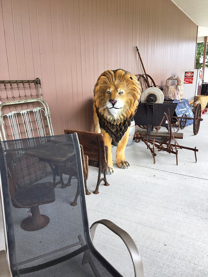 The king of the concrete jungle! This majestic lion statue is ready to guard your garden or make a roaring statement in your living room.