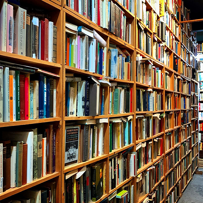 The literature section: where the heavyweights of the written word duke it out for your attention. Choose your champion!