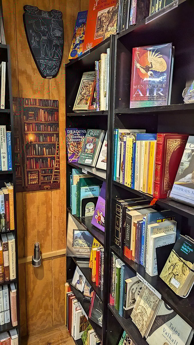 Dragons and magic and myths, oh my! This corner is where reality takes a vacation and imagination runs wild.