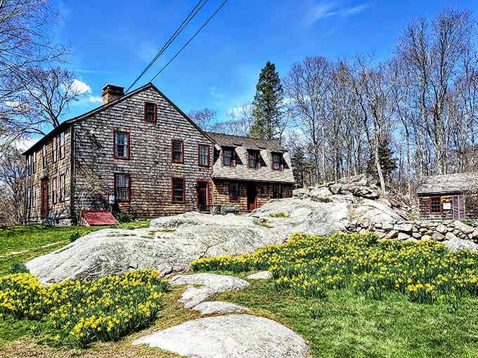 Who needs a time machine when you've got this rustic gem? It's like stepping into a living, breathing history book &ndash; complete with daffodils!