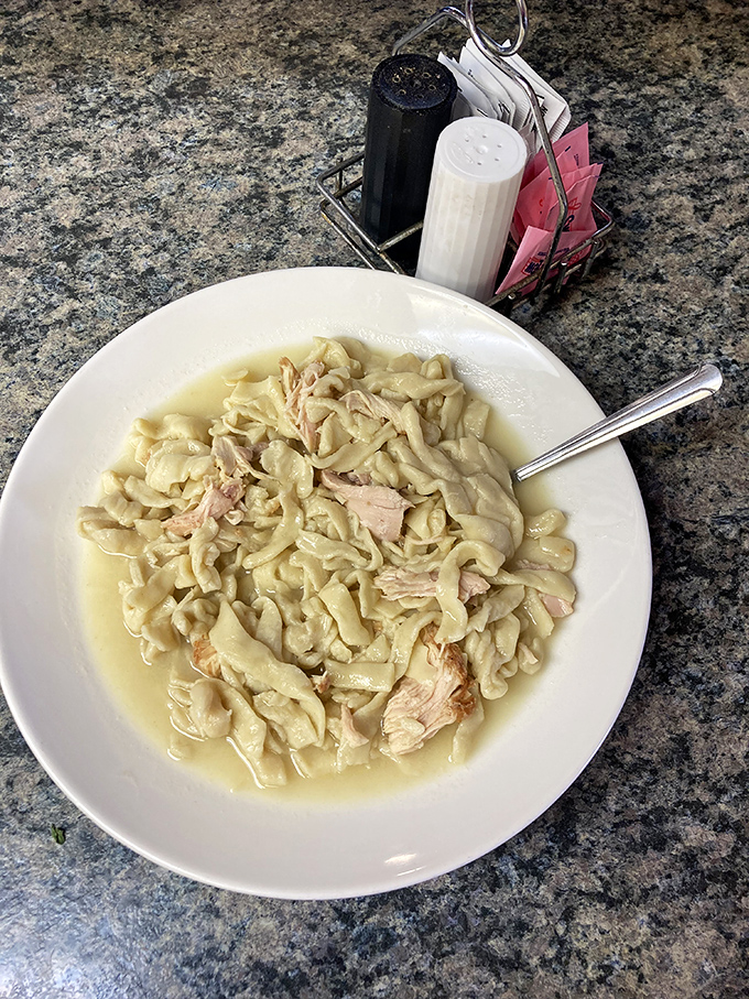 Chicken and noodles swimming in broth like they're on vacation at a delicious spa. Grandmothers everywhere are nodding in approval.