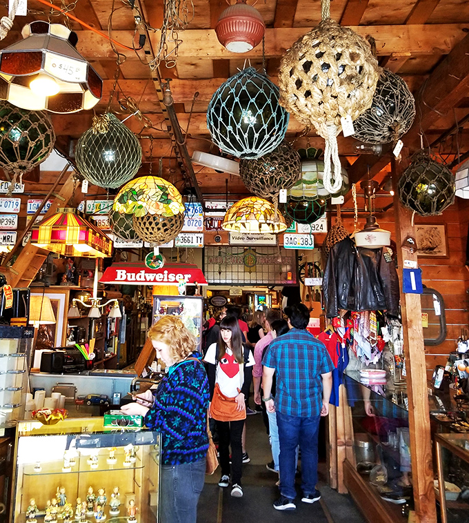 Where every shelf is a stage and all the knick-knacks merely players. Shakespeare would have a field day with this eclectic cast of curios.