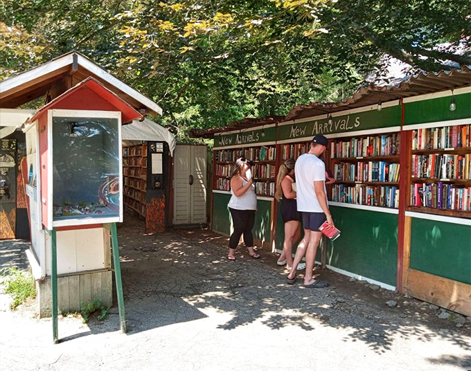 New arrivals, new adventures! These browsers are like kids in a candy store, except the sugar high comes from fresh ink and crisp pages.