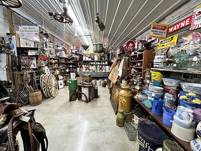 It's like your eccentric aunt's attic exploded... in the best way possible. Every shelf holds a potential treasure or conversation starter.