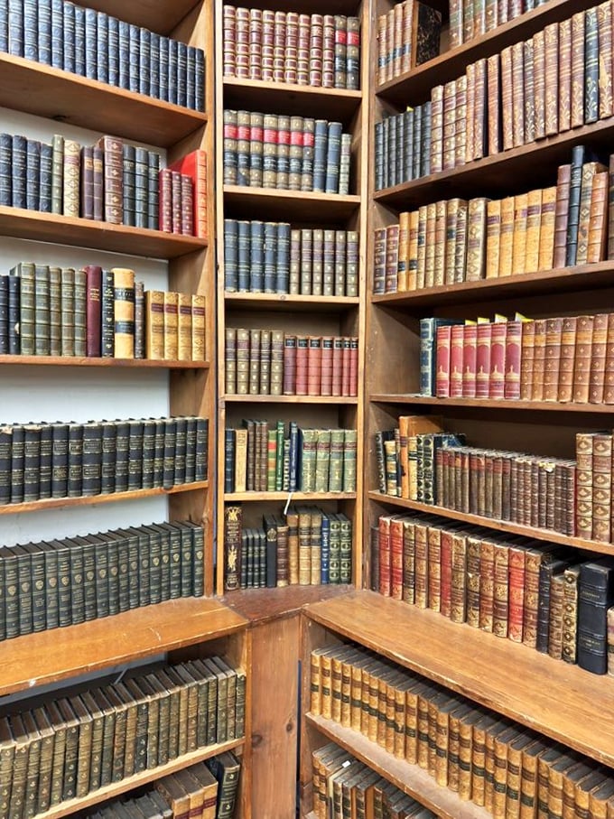 The rare books section: where first editions are treated like crown jewels and dust jackets are royalty.