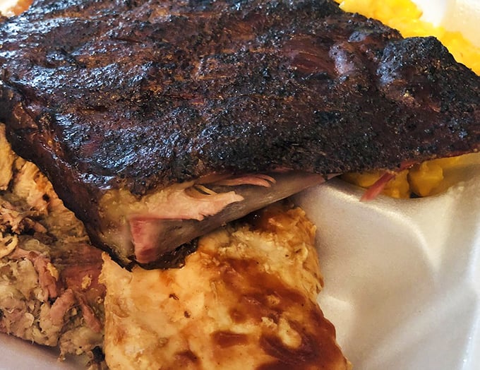 Meat and potatoes, elevated to an art form. These ribs, nestled next to a cloud of mashed potatoes, are what BBQ dreams are made of.