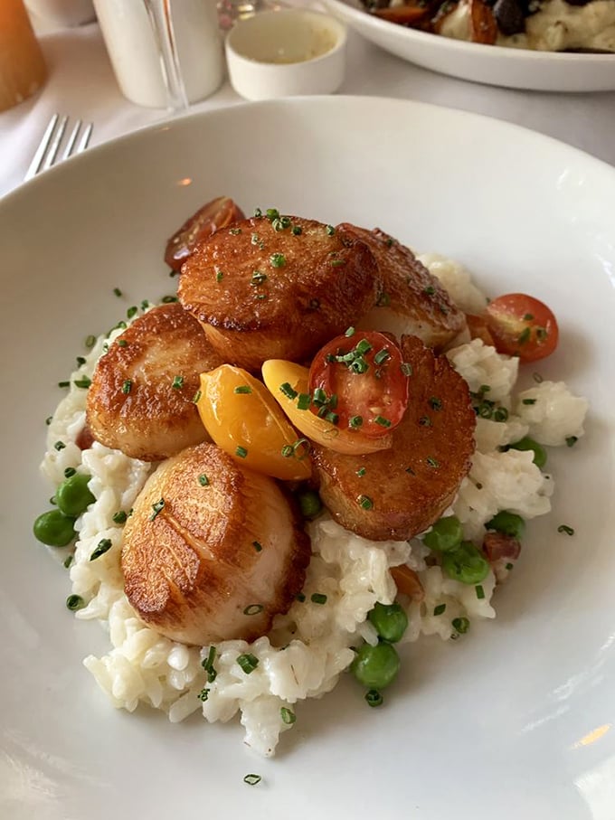 Scallops and risotto: a match made in culinary heaven. These golden-seared beauties nestled on a bed of creamy rice are pure comfort on a plate.