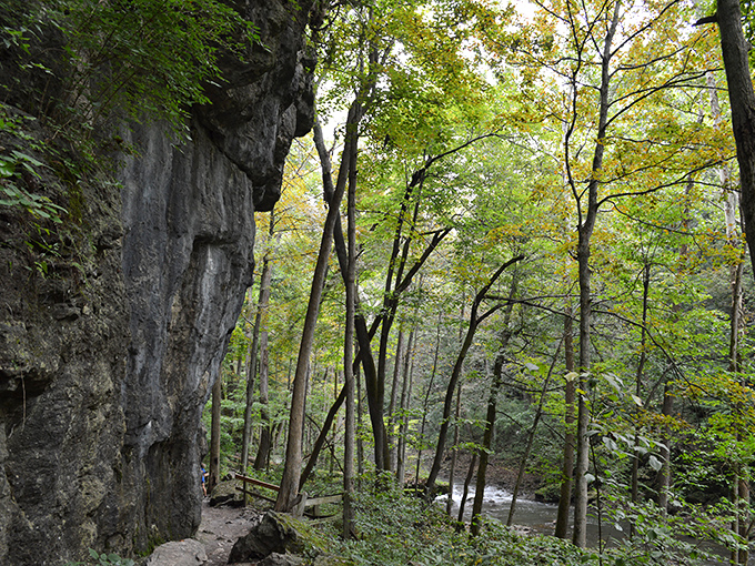 Limestone cliffs that make you wonder if you've somehow teleported from Ohio to a national park. Mother Nature showing off again.