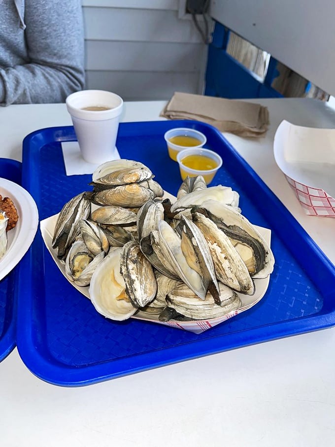 Steamers: Nature's way of saying, "Slow down and savor life." Just add melted butter and a sunset view.