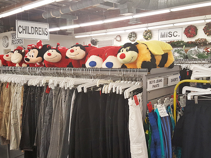 It's a plush parade! These stuffed animals are lined up like furry sentinels, guarding the gateway to childhood nostalgia.