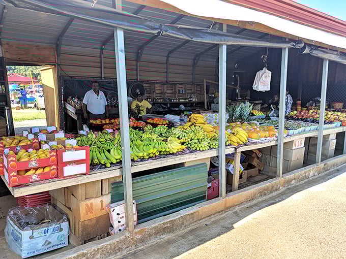 Farm-fresh flavors, anyone? This produce stand is so colorful, it could make a rainbow jealous. Your taste buds are in for a Southern treat!