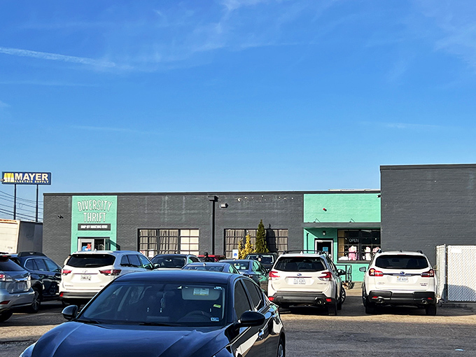 "Diversity Thrift: Where rainbow dreams and bargain hunting collide in a kaleidoscope of possibilities."