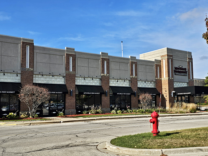 Mitchell's Fish Market: Where seafood gets the red-carpet treatment. It's so sleek, you'll want to wear your fancy flip-flops.
