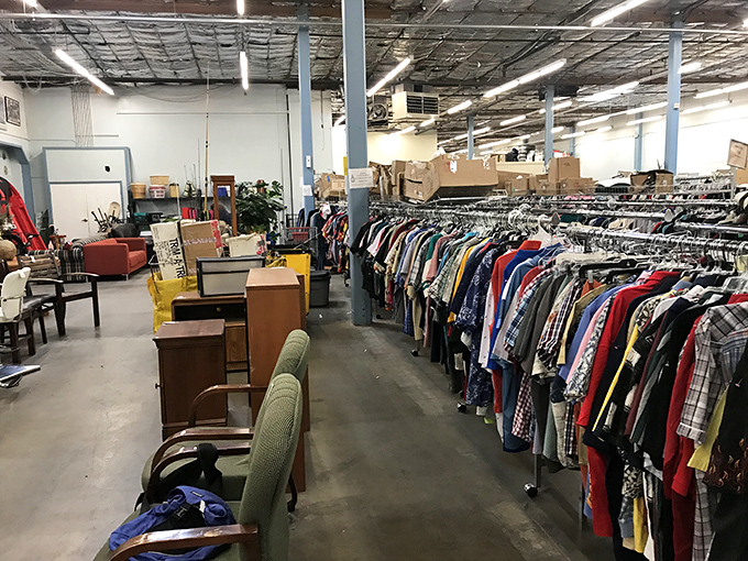 Goodwill: Where every aisle is a potential jackpot. It's like playing fashion roulette, but everyone's a winner!