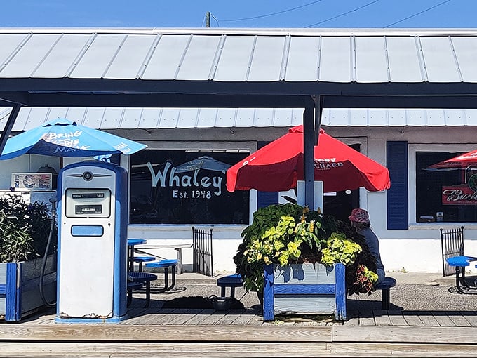 Retro vibes, fresh catches! This blue-and-white beauty serves up nostalgia with a side of ocean-fresh goodness.