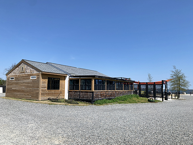 Welcome to oyster paradise! Merroir's waterfront dining is so fresh, you'll feel like you've grown gills. Don't forget your bib and sense of adventure!