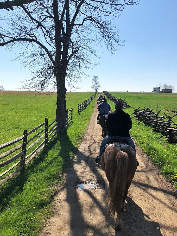 Giddy up and go back in time! These trails offer a horseback history lesson that's way more fun than any textbook.