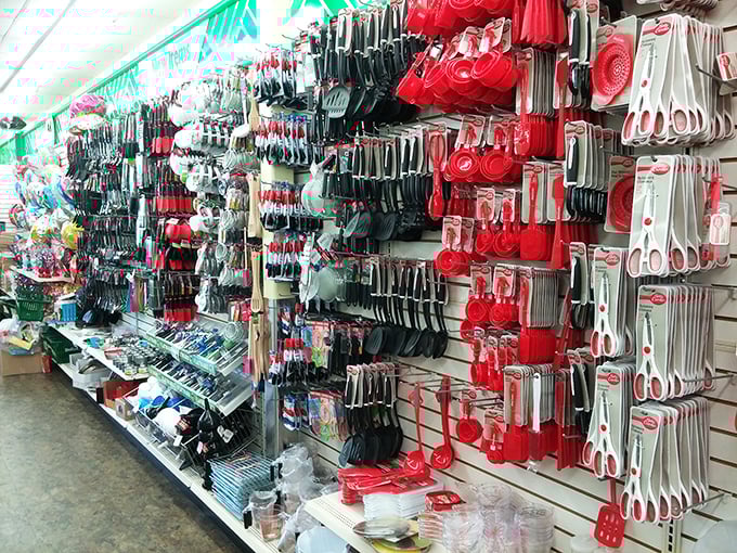 Culinary dreams on a shoestring budget! This utensil wonderland turns every shopper into a potential Julia Child.