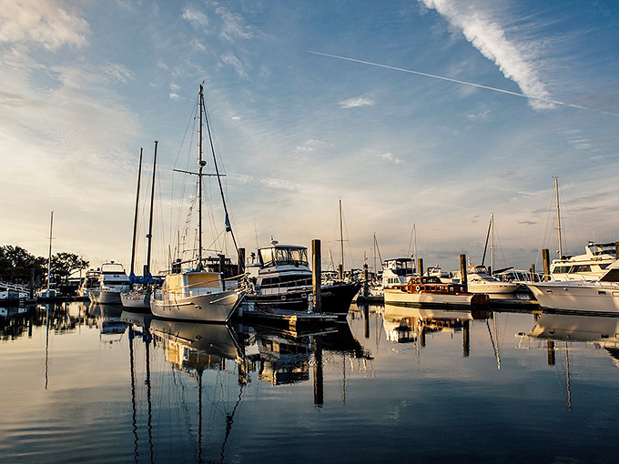 Boats bobbing like apples in a tranquil pond. This marina's got more class than a finishing school for yachts.