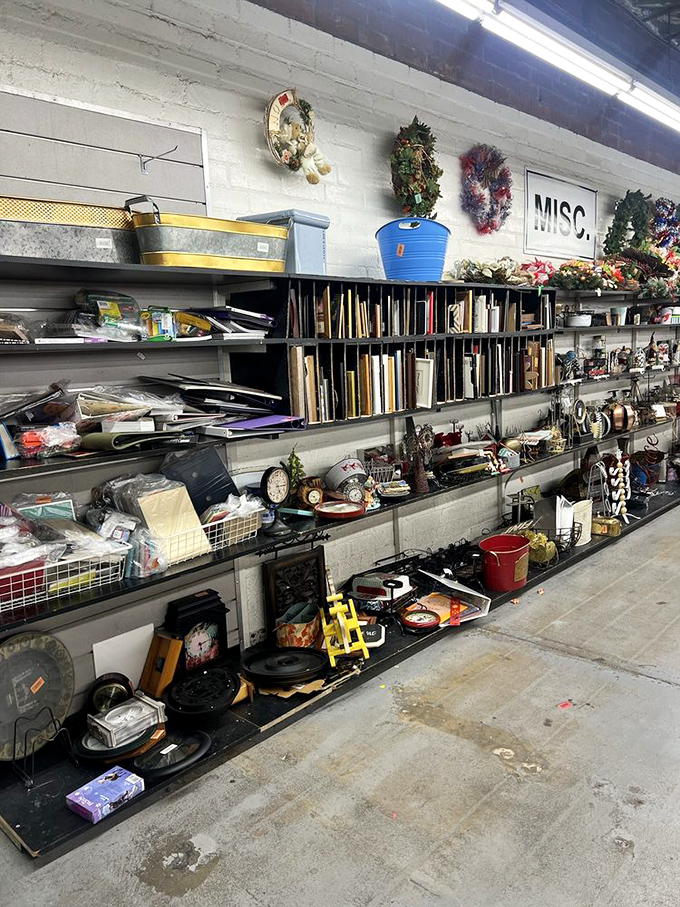 Welcome to the Island of Misfit Toys for grown-ups! This "misc" section is where the truly unique finds hide. Embrace the weird, folks!