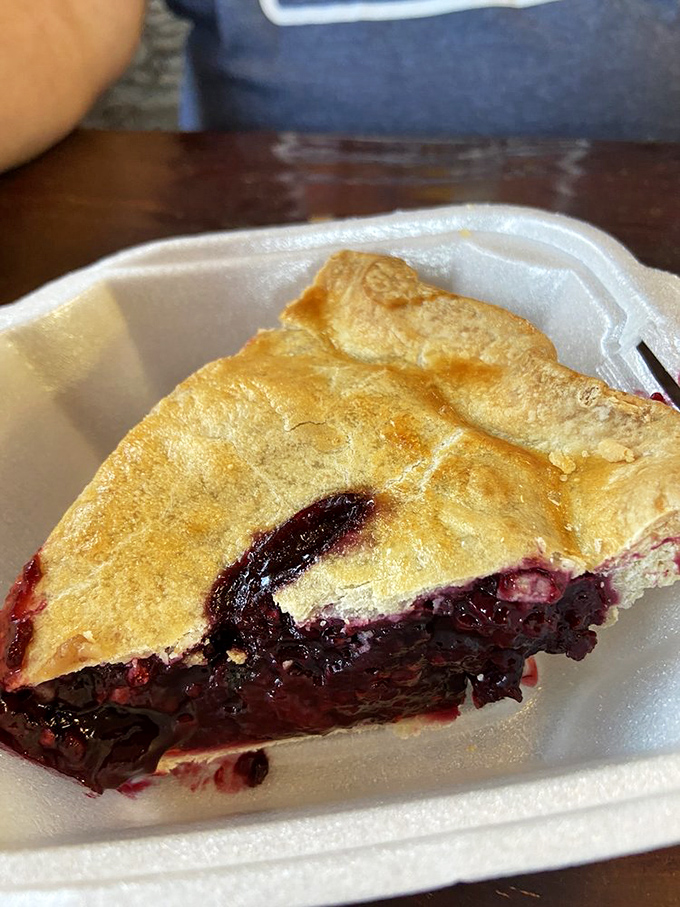 Mountain Berry Pie: nature's candy wrapped in a flaky hug. It's like hiking through a berry patch, minus the bear encounters.