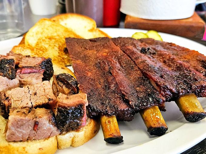 Ribs and tips sharing a plate like old friends at a reunion, each bringing their own smoky stories to the table.