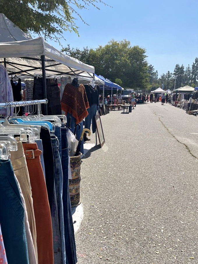 Denim days and vintage ways! This clothing lineup is a fashionista's time machine, ready to transport you to any decade.