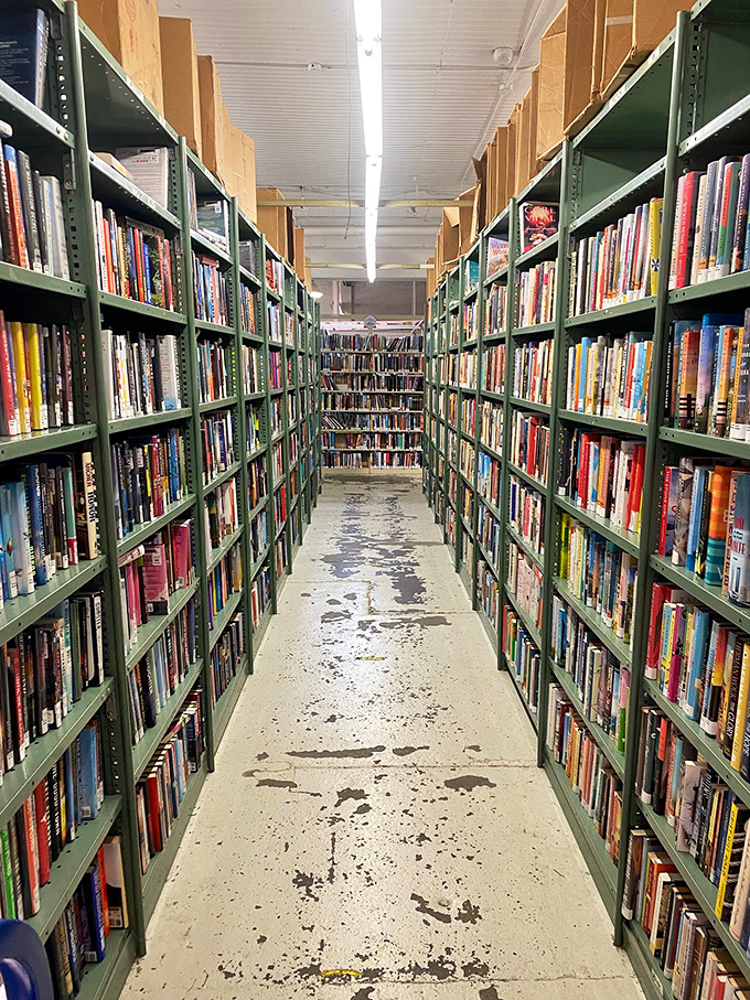 Book lovers, prepare yourselves. This aisle isn't just a walk, it's a journey through countless worlds and endless possibilities.