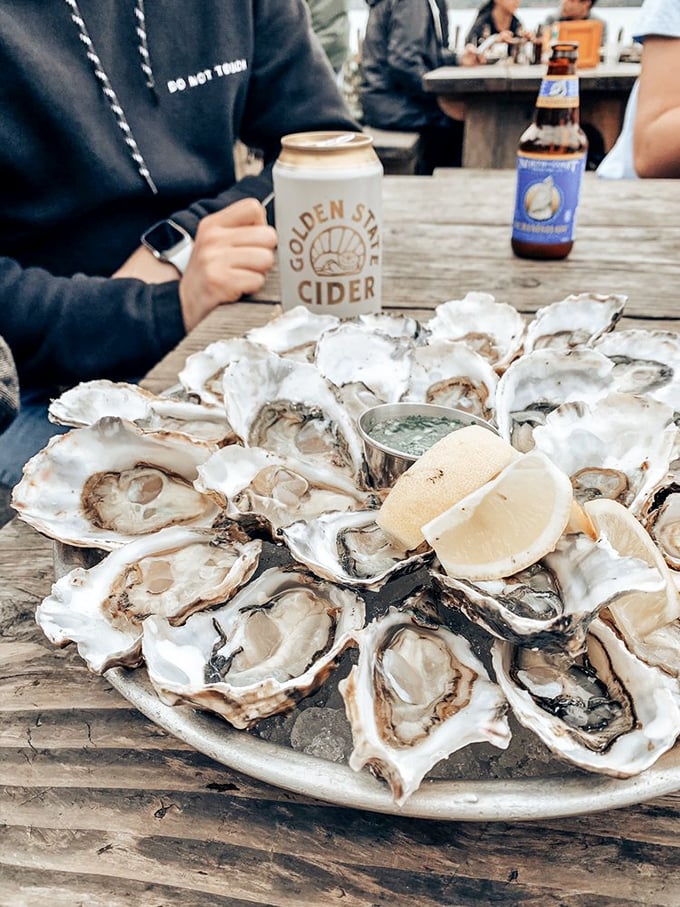 Oysters on ice, looking oh-so-nice! These beauties are ready for their close-up... and then for a quick trip down the hatch.