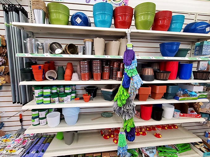 Pot-ential overload! Whether you're a green thumb or just optimistic, these colorful planters are begging to house your next botanical adventure.