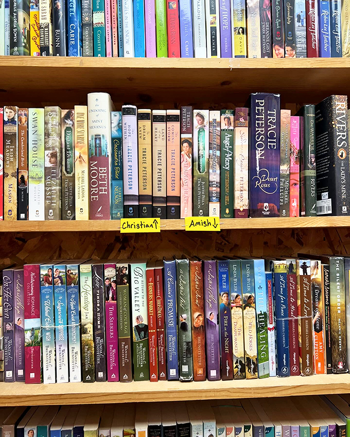 From bonnets to buggies, these Amish and Christian romances offer a charming escape to simpler times. No electricity required for these page-turners!