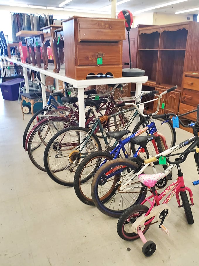 Wheel-y great deals ahead! From tricycles to ten-speeds, this bike bonanza has something for every aspiring Tour de Neighborhood champ.