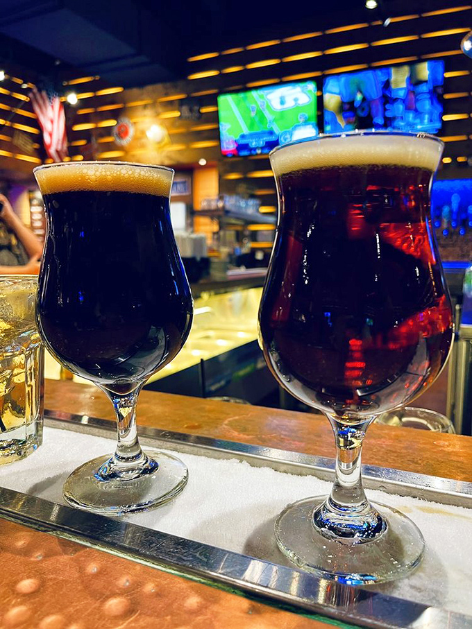 Liquid comfort in a glass! These dark ales are like a warm hug for your taste buds, perfect for washing down a hearty meal.