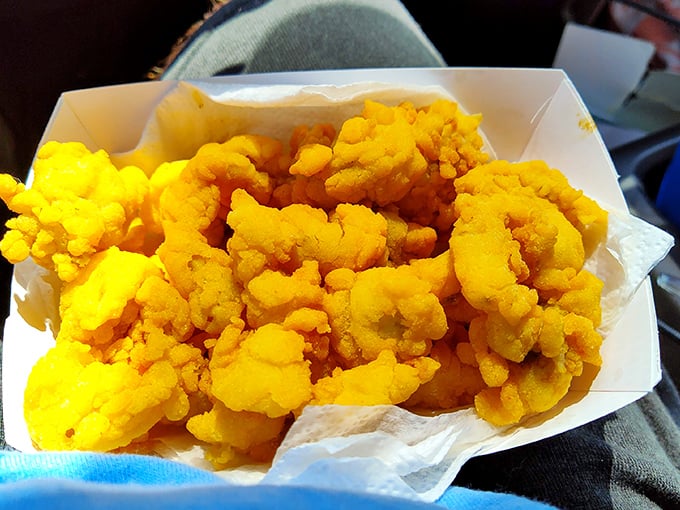 Fried clam heaven! These golden nuggets of oceanic goodness are so crispy, they practically do a happy dance in your mouth.