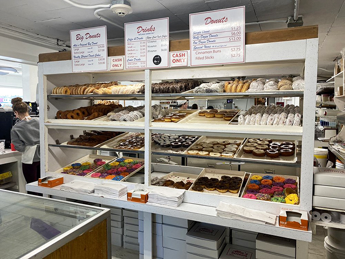 Choices, choices! Allie's display case is a kaleidoscope of colors and flavors, each shelf a new chapter in the donut story.