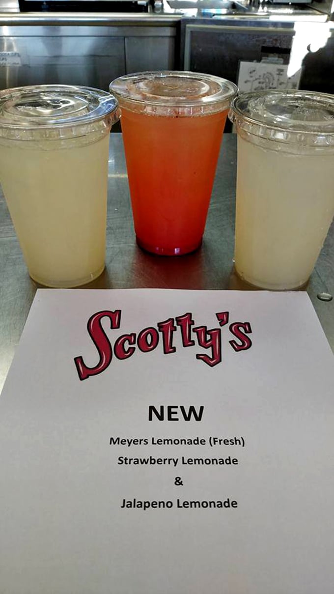 Quench your thirst with Scotty's rainbow of refreshment. These drinks are like a cool breeze on a hot North Dakota day.
