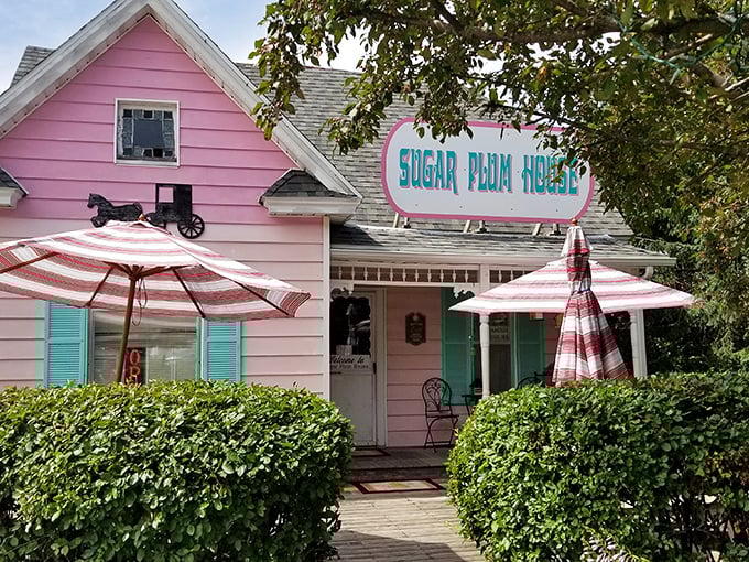 The Sugar Plum House: where calories don't count and diet resolutions go to die. It's like Willy Wonka opened a B&B, and we're here for it!