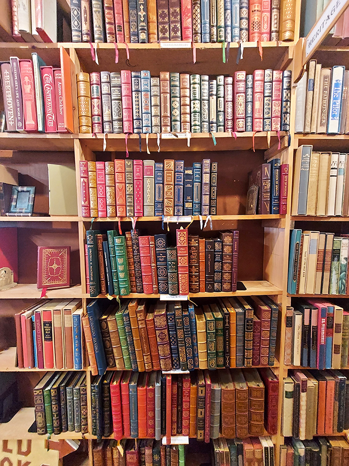 Fancy a royal reading experience? These gilded tomes are fit for a king. Or at least someone who wants to feel like one.