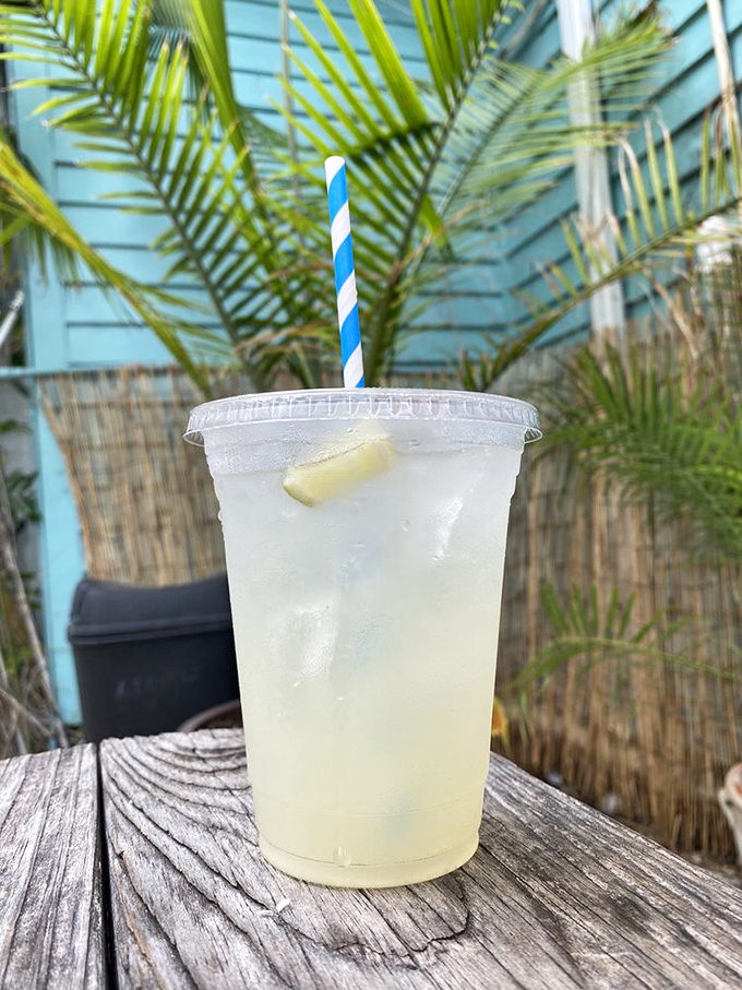 Pucker up, buttercup! This freshly squeezed limeade is like a splash of Florida sunshine in a cup. Instant vacation vibes!