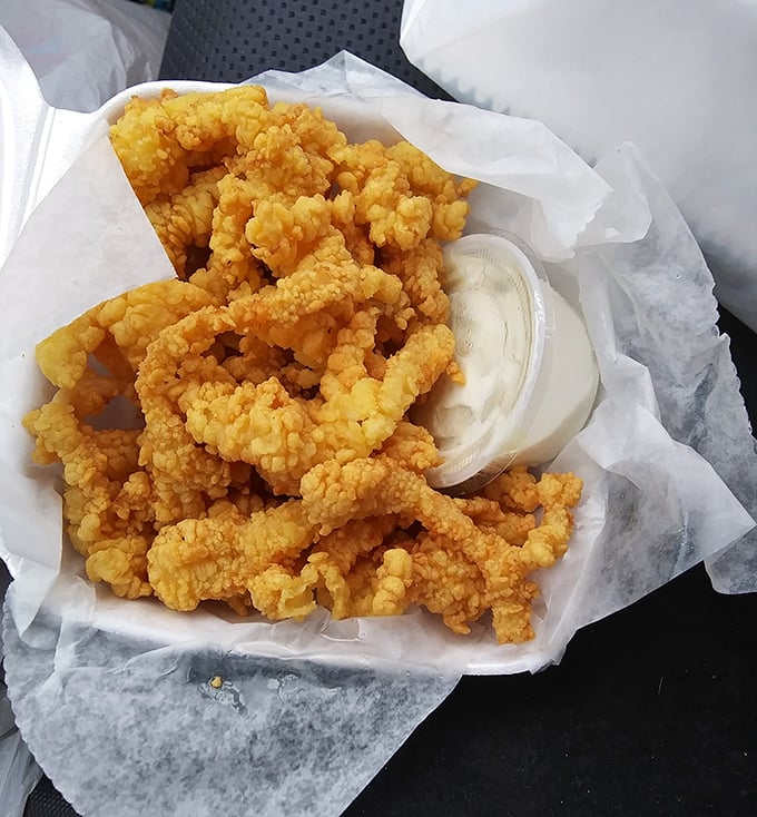 Fried clam strips: the unsung heroes of the seafood world. Crispy, golden, and addictive &ndash; they're like ocean potato chips!