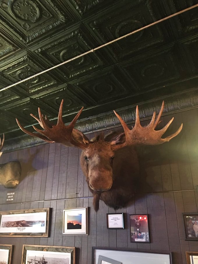 Meet the guardian of good times! This moose head watches over diners, ensuring everyone has a wild(life) night out at Svilar's.