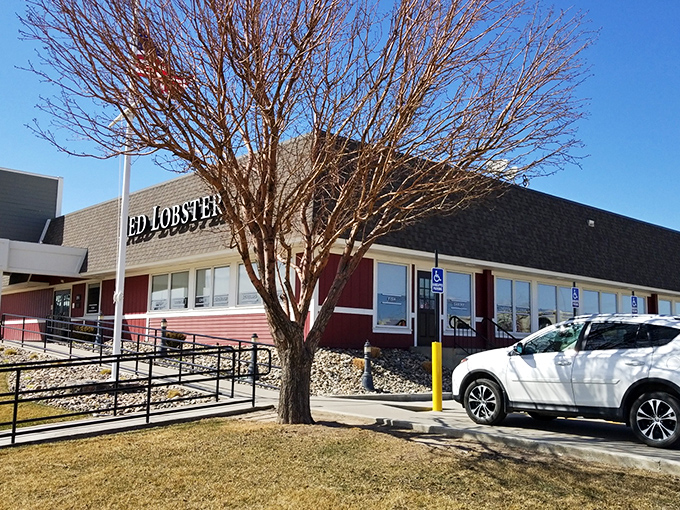 Red Lobster: Where landlocked dreams of seaside feasts come true. No sand in your shoes required!