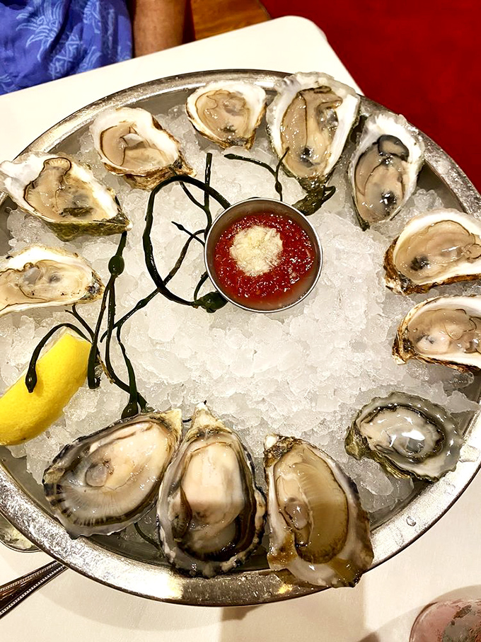 Oysters on ice, a sight for sore eyes! These briny beauties are lined up like nature's perfect appetizer, just waiting to slide down your throat with a splash of mignonette.