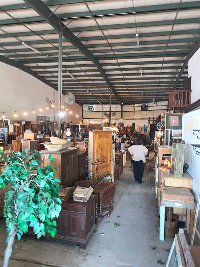 Treasure hunters in their natural habitat! Watch as they navigate the maze of history, each aisle a new adventure in time.