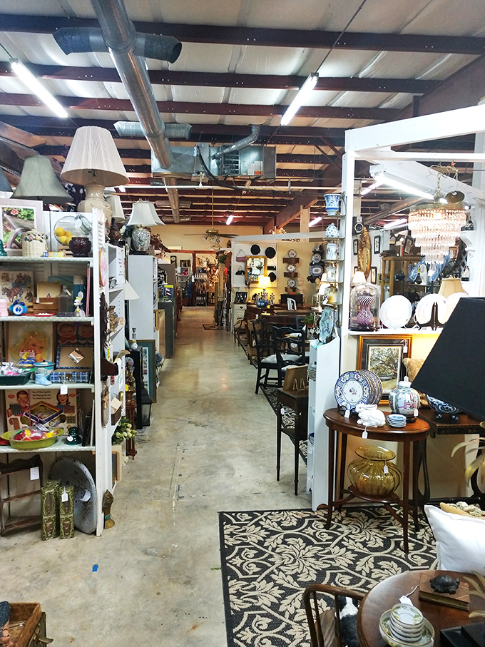 Down the rabbit hole of retro treasures. Alice would feel right at home in this wonderland of vintage delights.