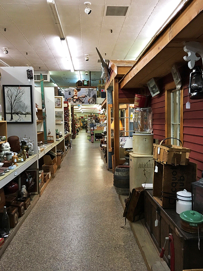 Plates, paintings, and possibilities! It's like your favorite home design show, but with a dash of time travel.