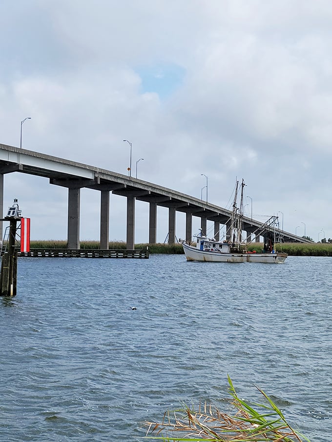 Forget cruise ships – these fishing boats are the real kings of the sea, bringing in treasures that would make Poseidon himself jealous.