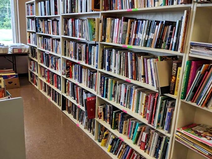 Bookshelf or time machine? Dive into these literary waves and emerge with a dusty first edition or a long-lost childhood favorite. Reading glasses recommended!