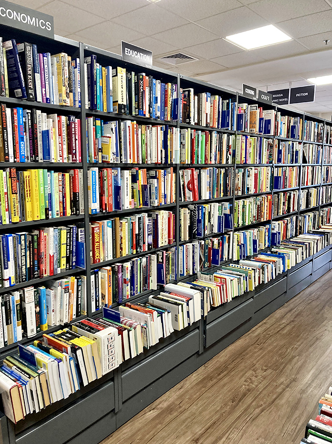 From economics to education, these shelves are a testament to human knowledge. It's like Wikipedia grew up and got a beach house.